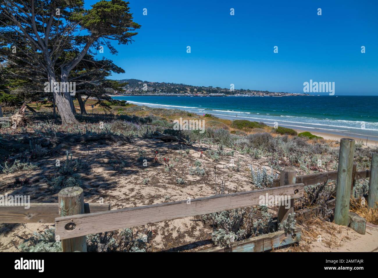 Beach and flora, Monterey Bay, Peninsula, Monterey, Pacific Ocean ...