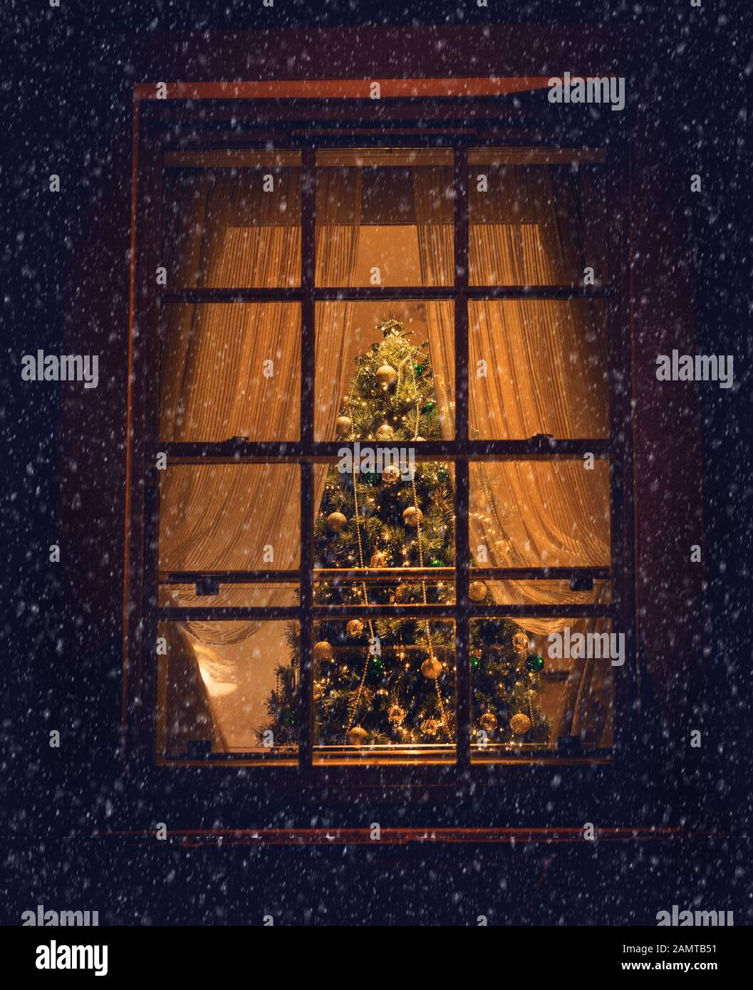 Tree through a window hi-res stock photography and images - Alamy