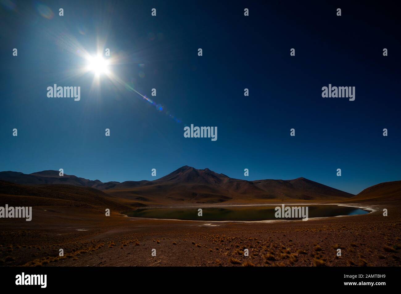 Miniques Lagoon, Atacama Desert, Antofagasta, Chile Stock Photo - Alamy