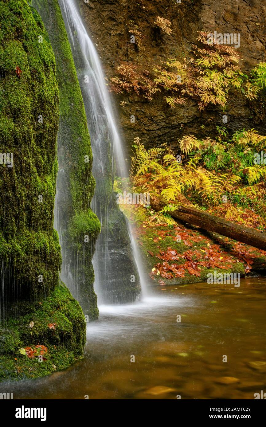 Spirit Falls, Umpqua National Forest, Oregon Stock Photo - Alamy