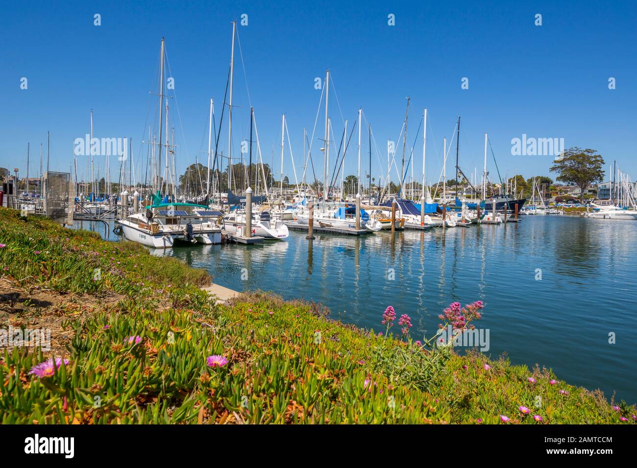 Surf club building hi-res stock photography and images - Alamy