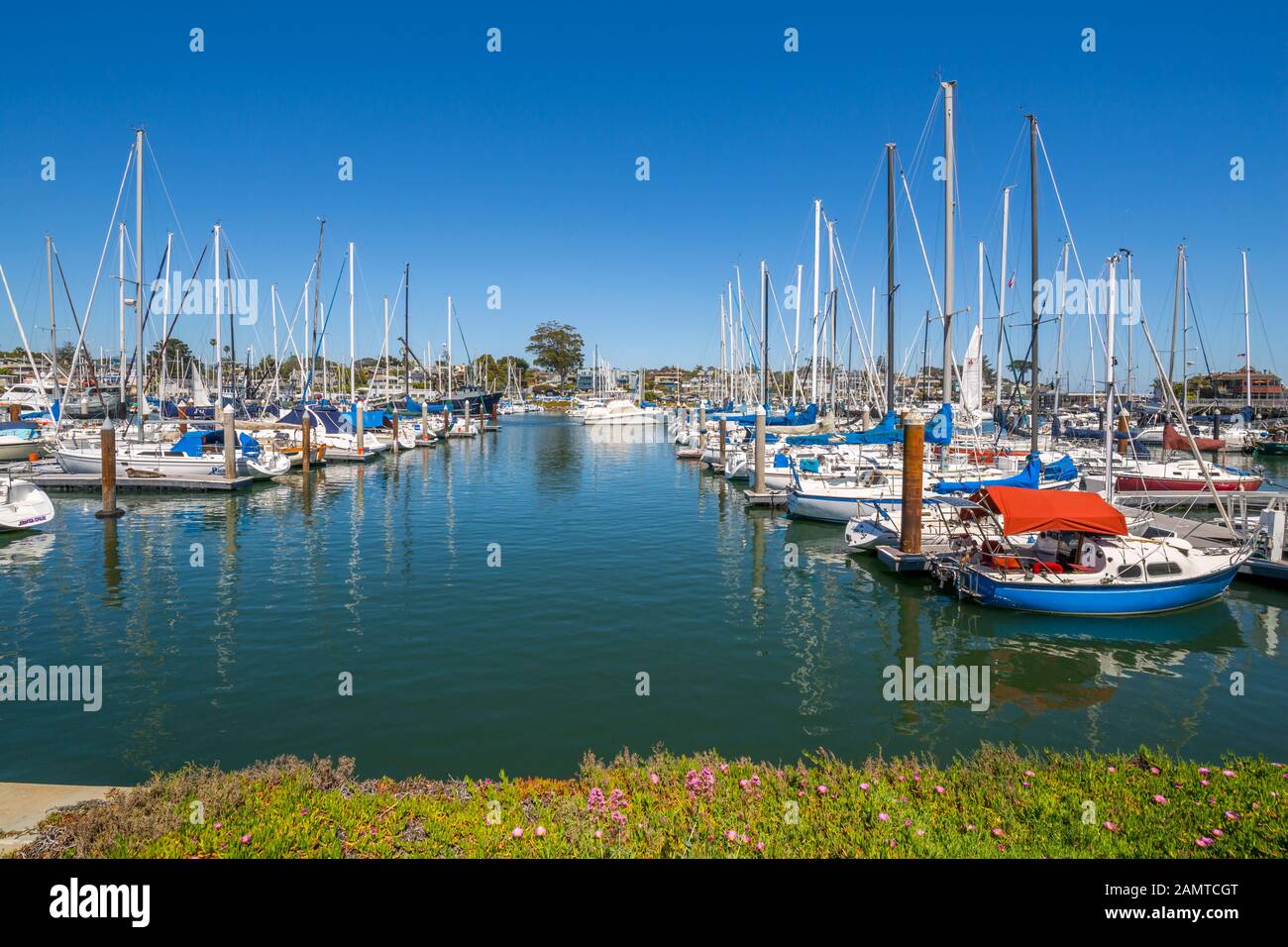 View of yachts at Santa Cruz Yacht Club, Santa Cruz, California, United ...