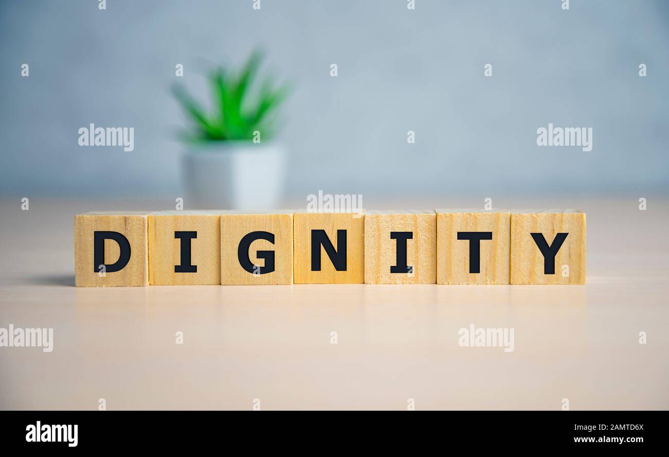 DIGNITY word made with building blocks. business concept Stock Photo ...