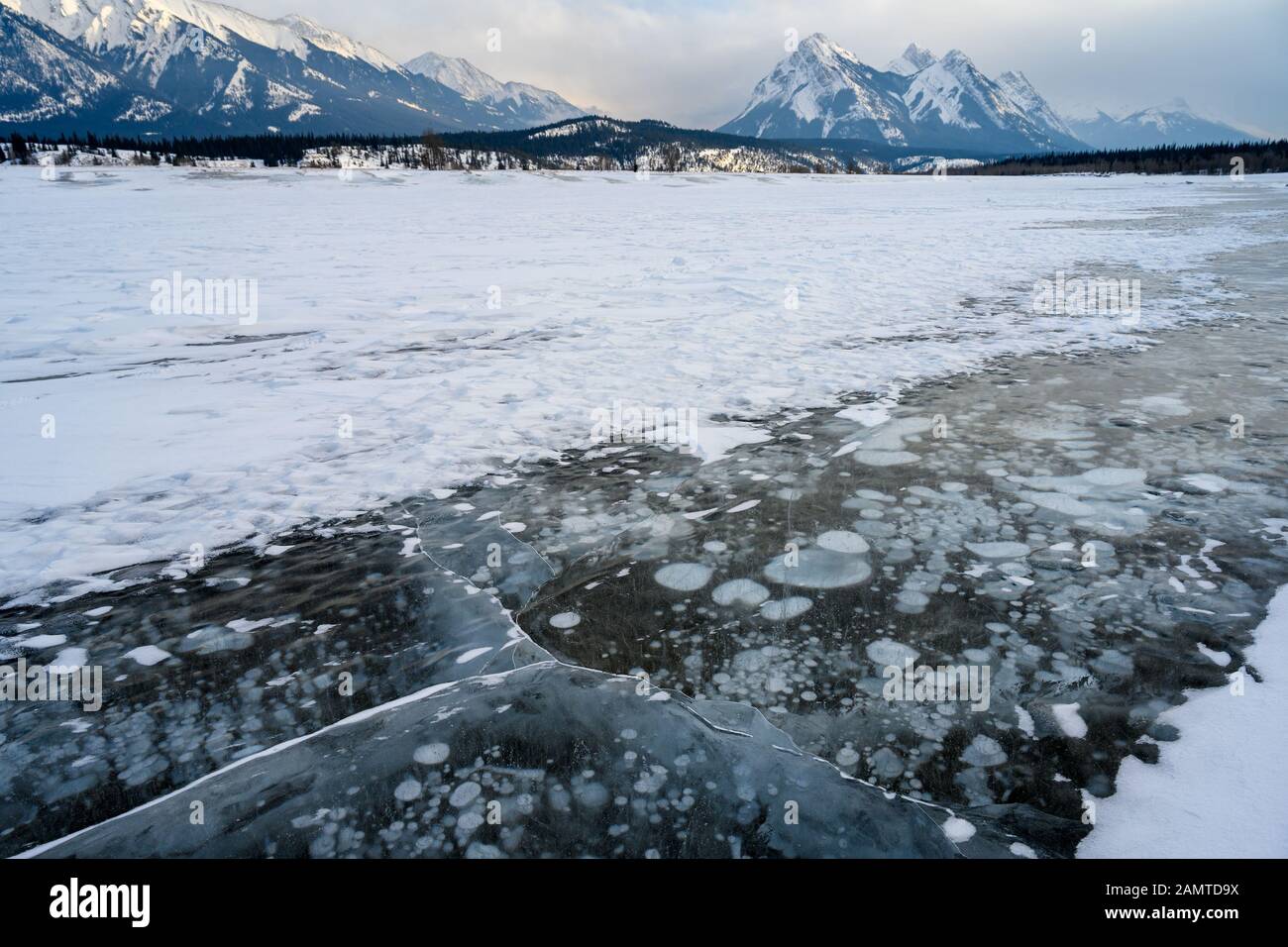 Trapped methane bubbles frozen into the water under the thick cracked ...