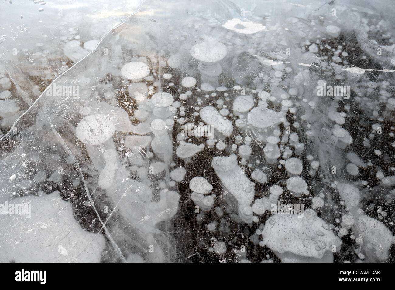 Trapped methane bubbles frozen into the water under the thick cracked ...