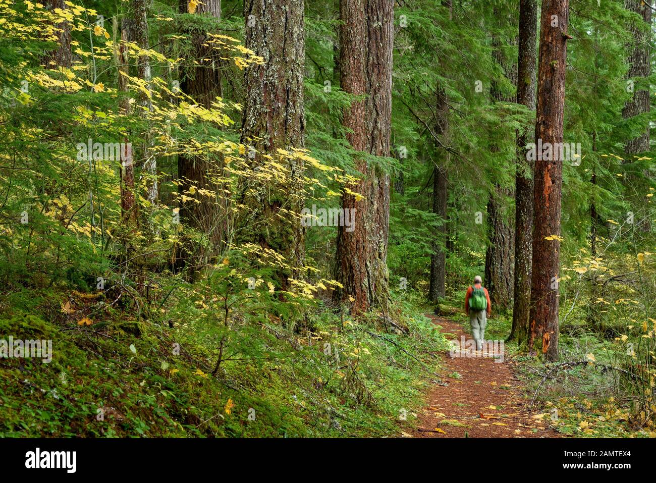 Trails of oregon hi-res stock photography and images - Alamy