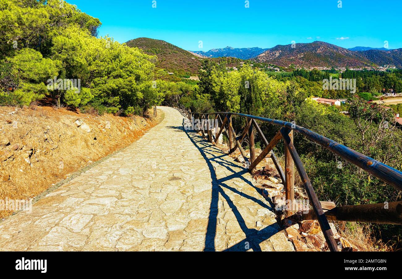 Reflex pathway hi-res stock photography and images - Alamy