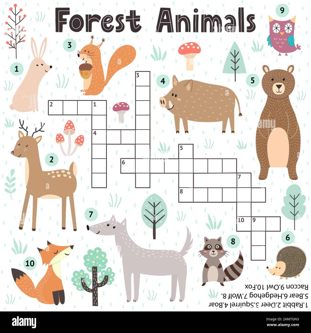 Forest Animals For Kids