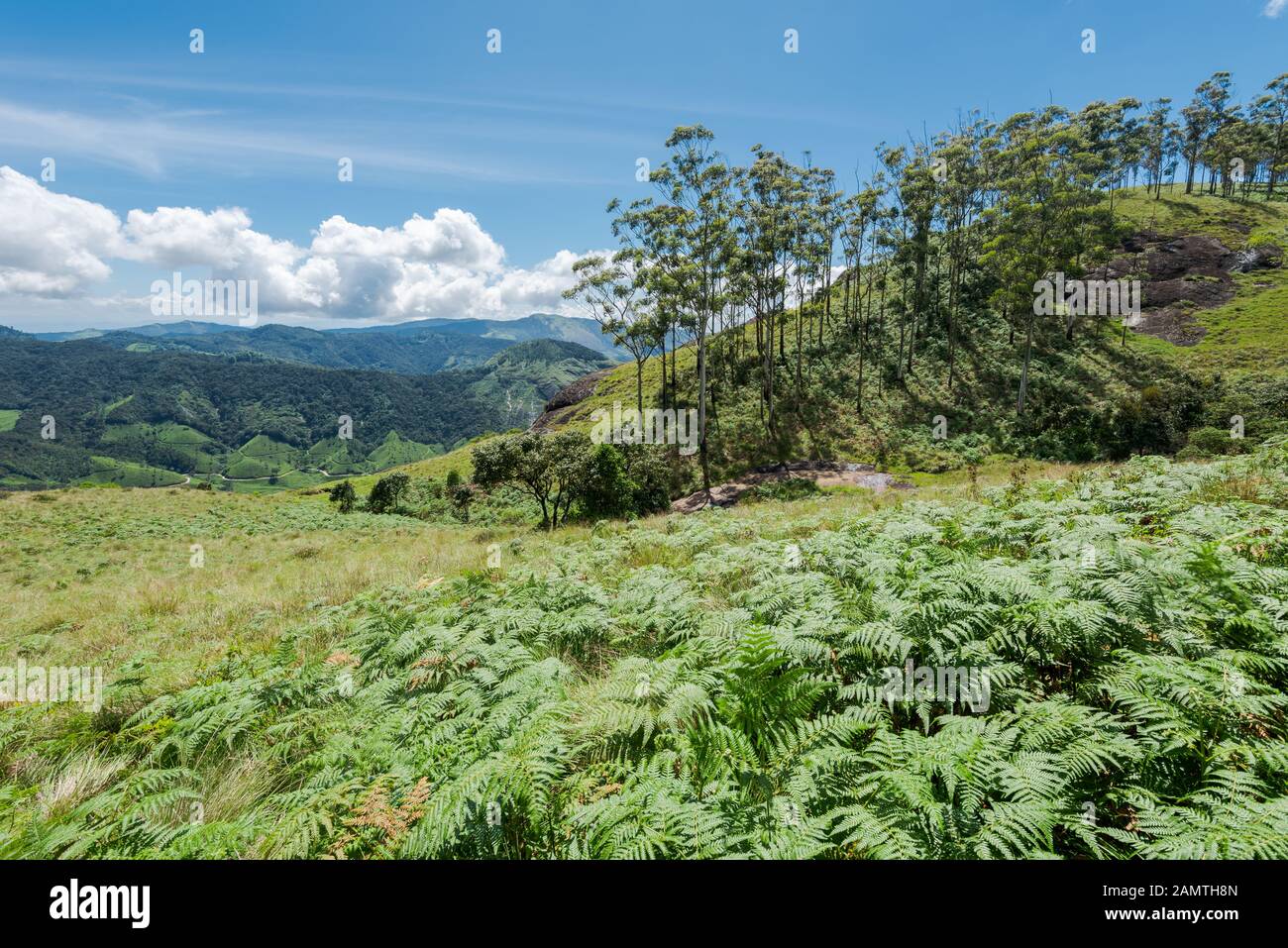 Kerala nature hi-res stock photography and images - Alamy
