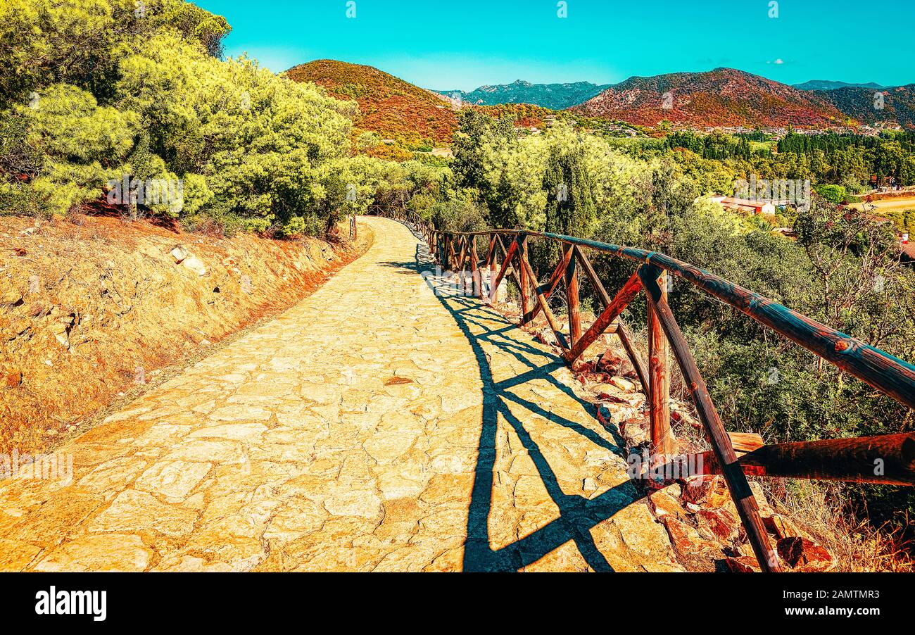 Reflex pathway hi-res stock photography and images - Alamy