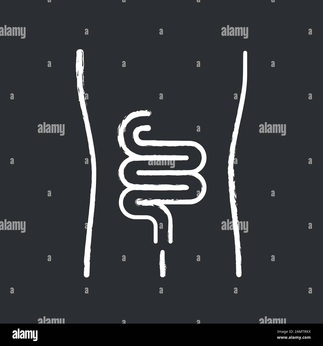 Healthy intestine chalk icon. Human internal organ in good health ...
