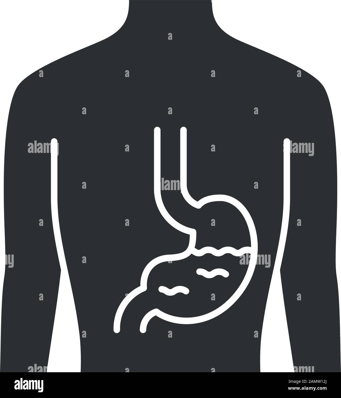 Healthy stomach glyph icon. Human organ in good health. People wellness ...