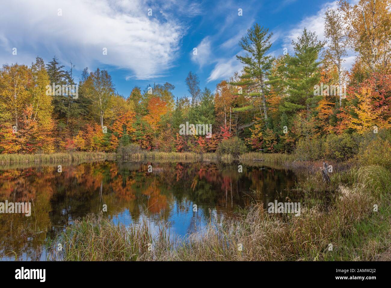 Pretty autumn colors surrounding a pond in the Chequamegon National ...