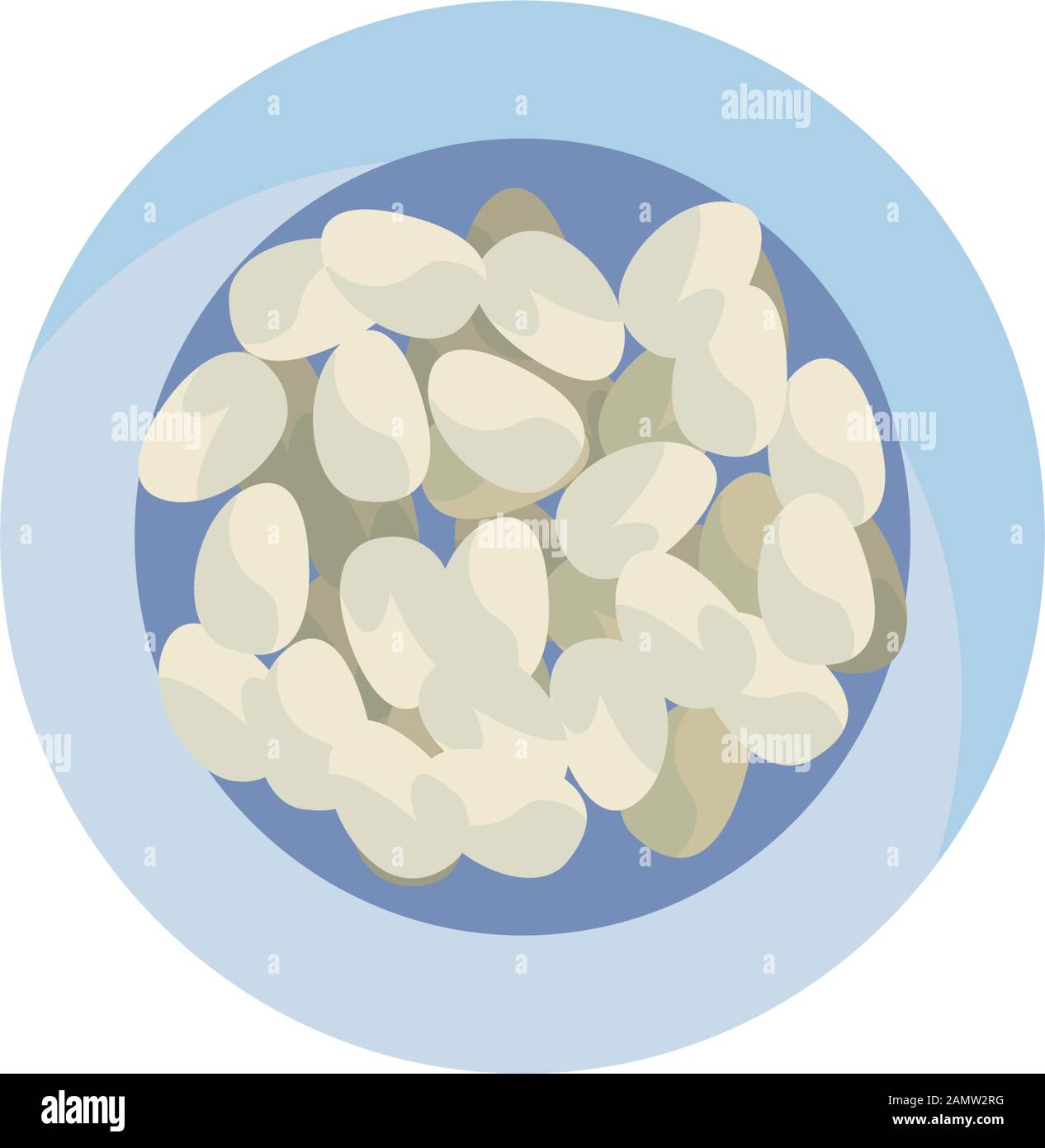 white beans design, Vegetable organic food healthy fresh natural and ...