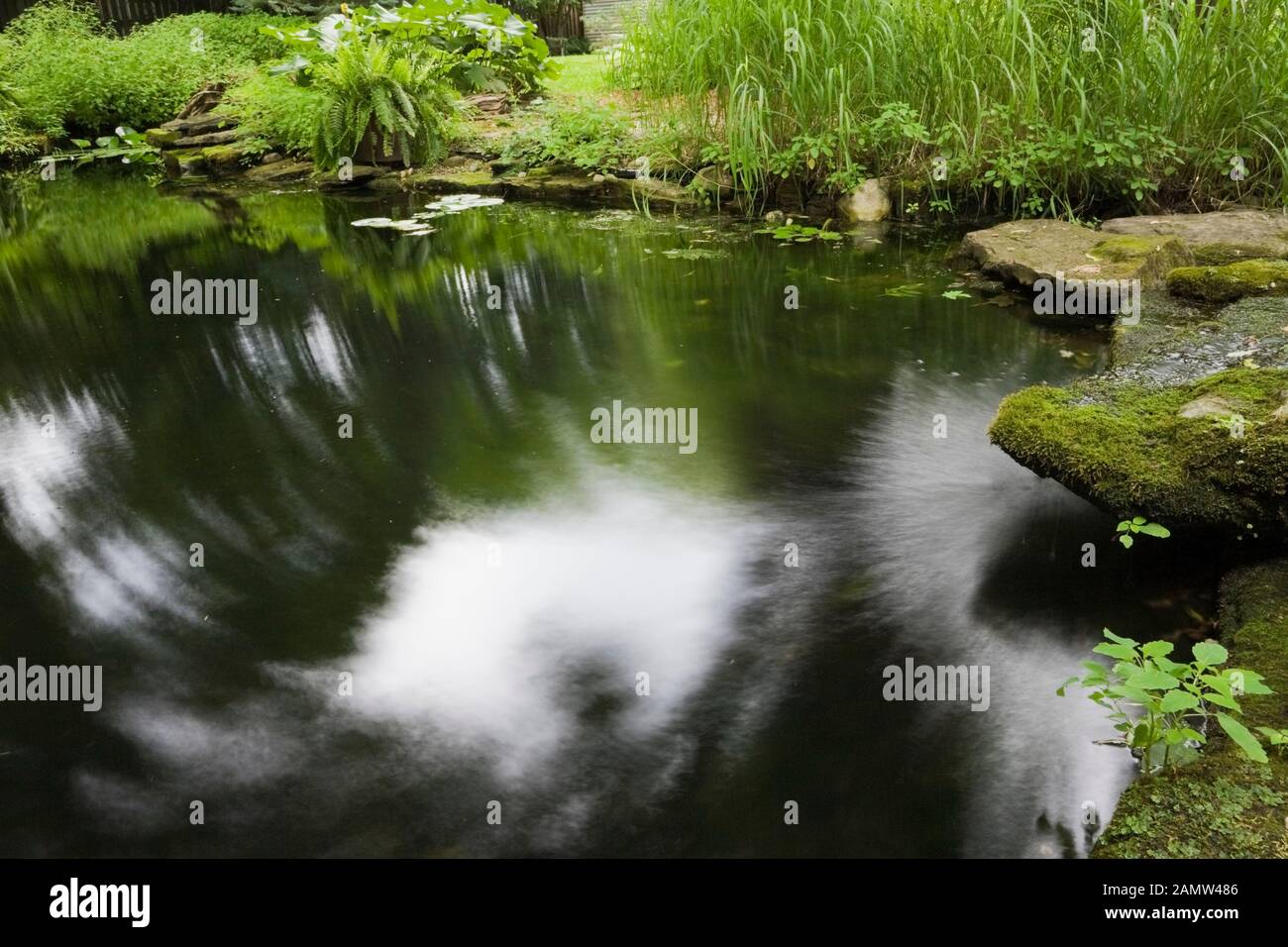 Pond surrounded by rocks covered with Bryophyta - Green Moss and llush ...
