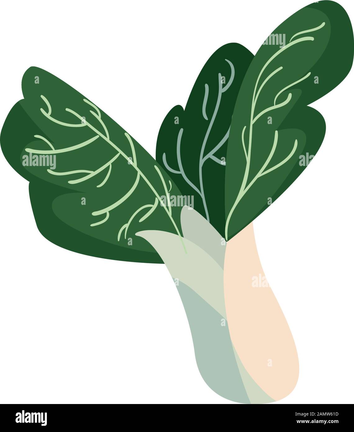 pak choi design, Vegetable organic food healthy fresh natural and ...