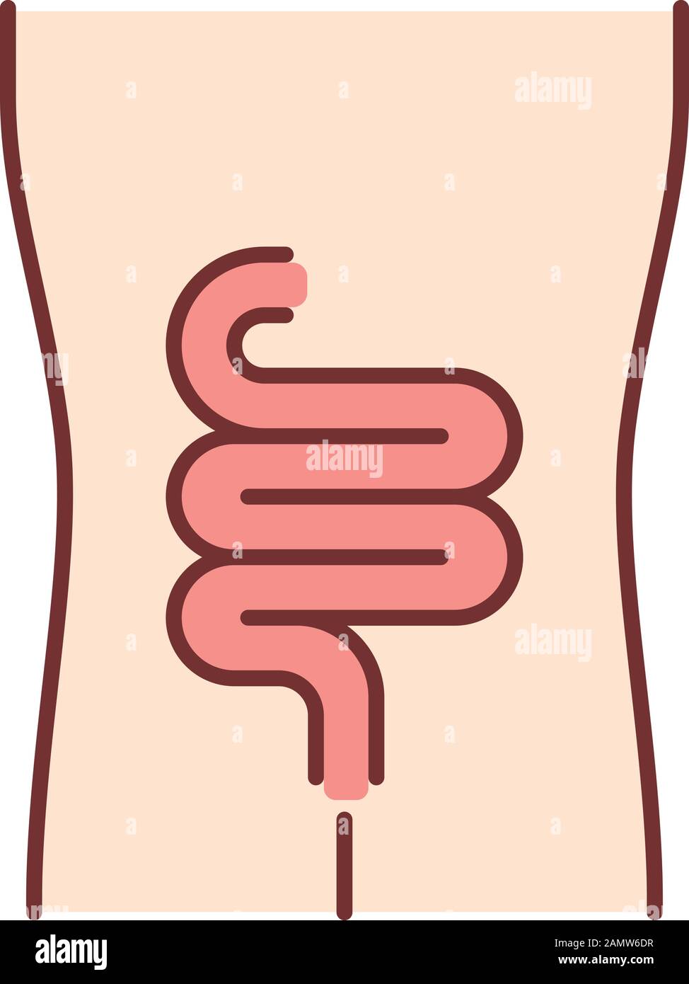 Healthy intestine color icon. Human organ in good health. Functioning ...