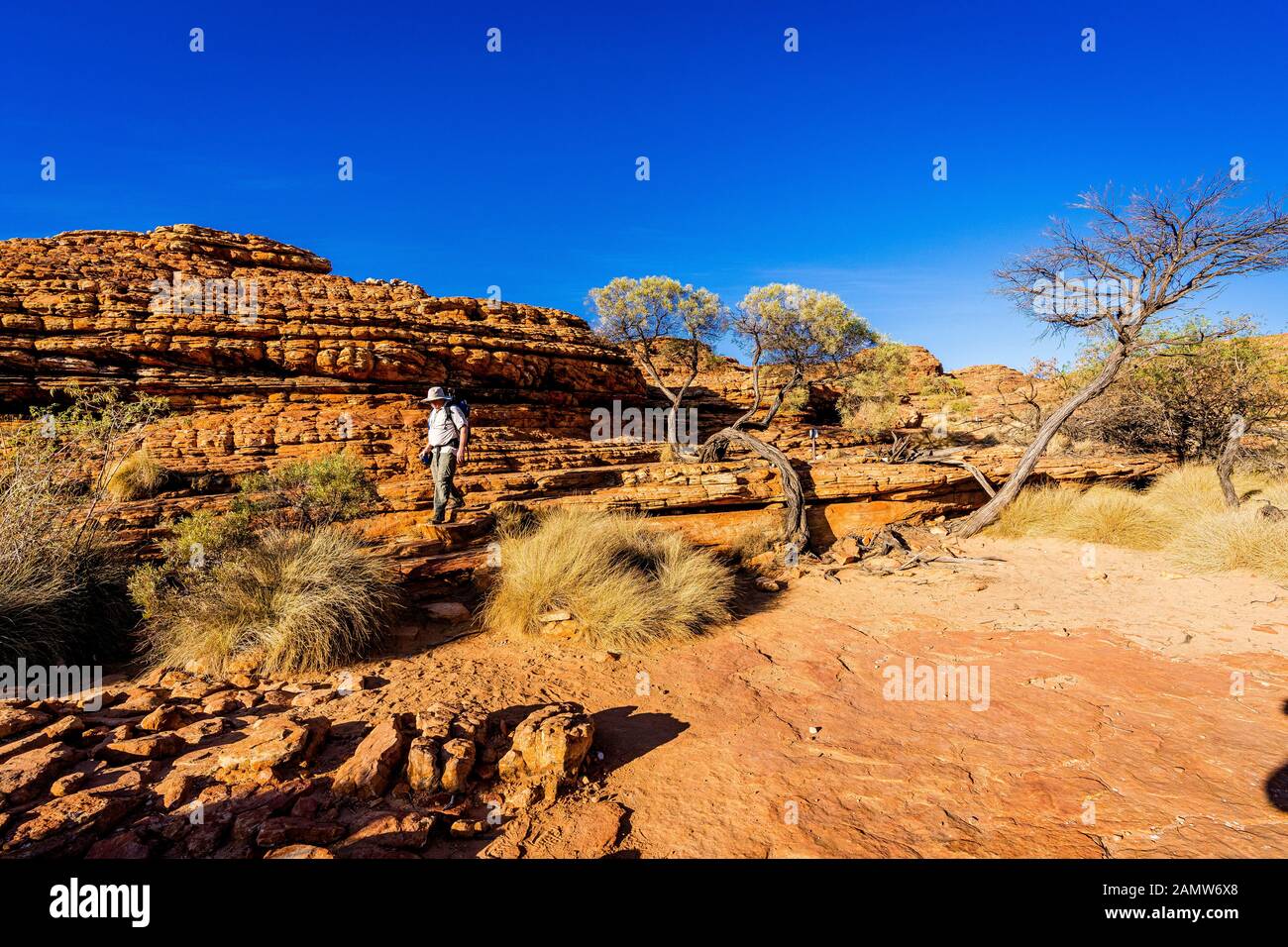 A male hiker along the Rim Walk at Kings Canyon in the Northern ...