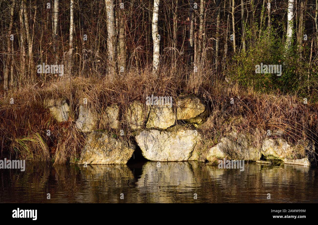 Fall embankment on a river with stones and places to hide for animals ...