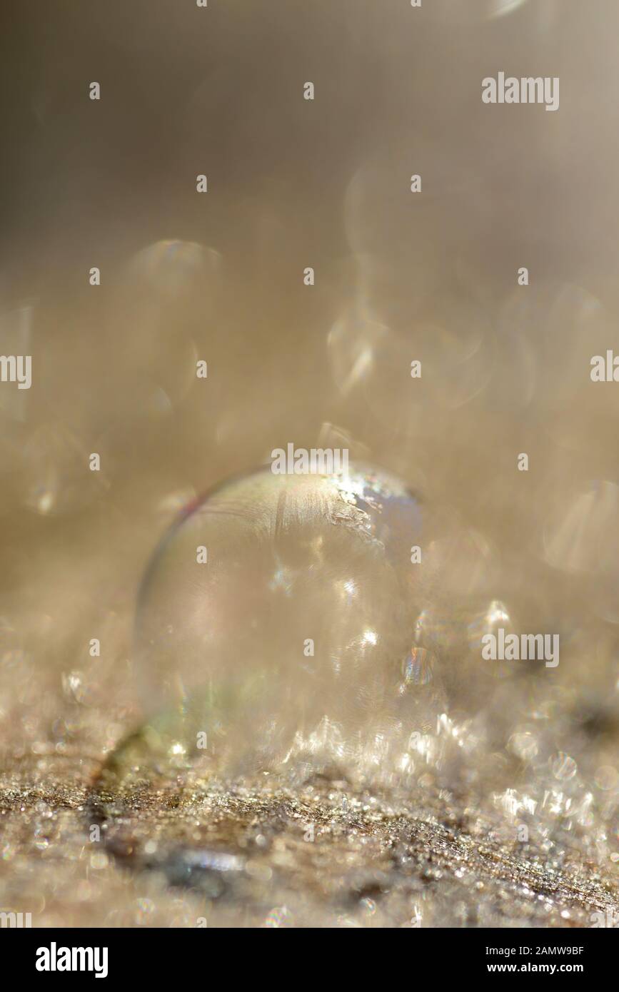Bubble form structure hi-res stock photography and images - Alamy