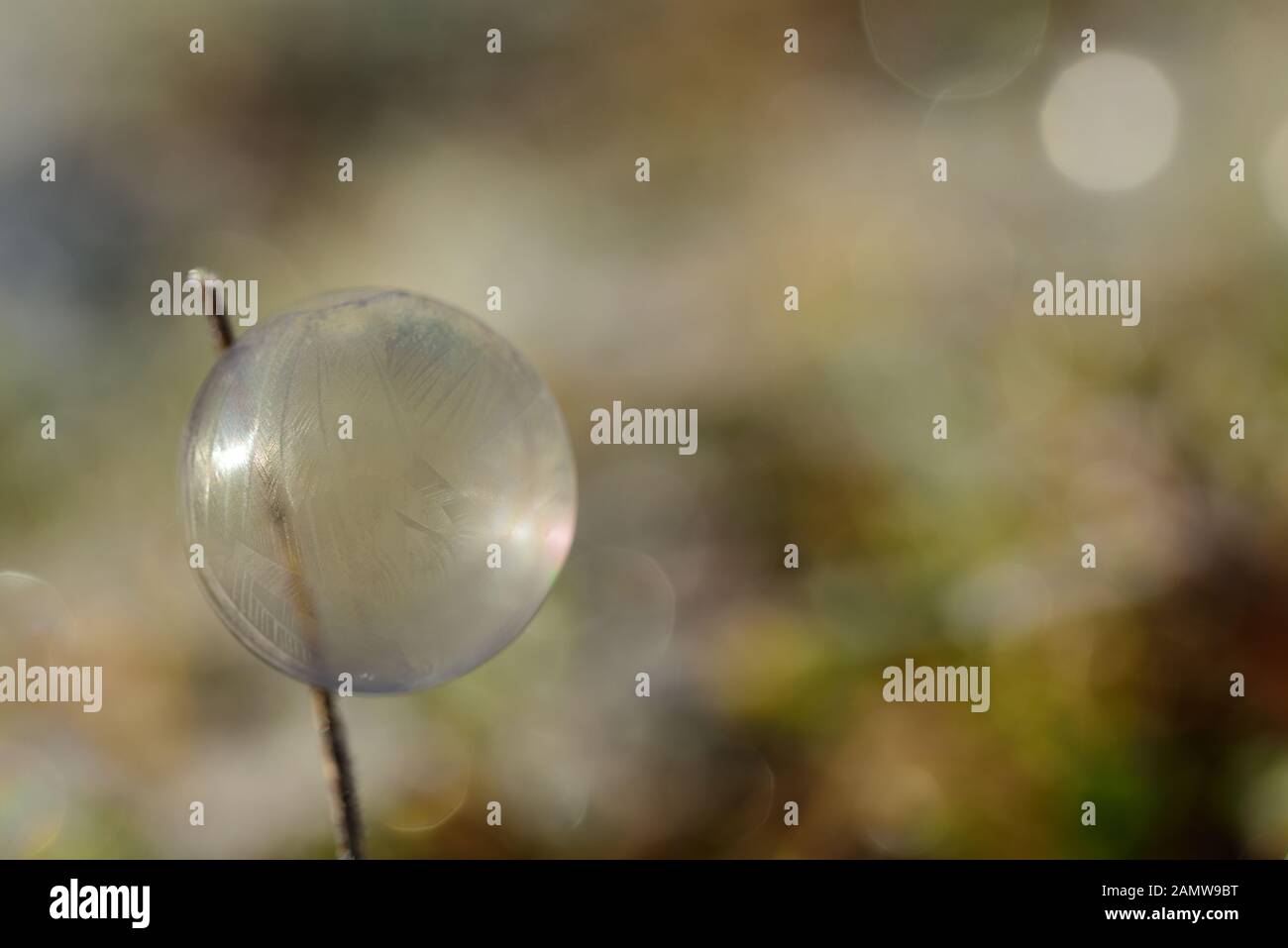 Bubble form structure hi-res stock photography and images - Alamy