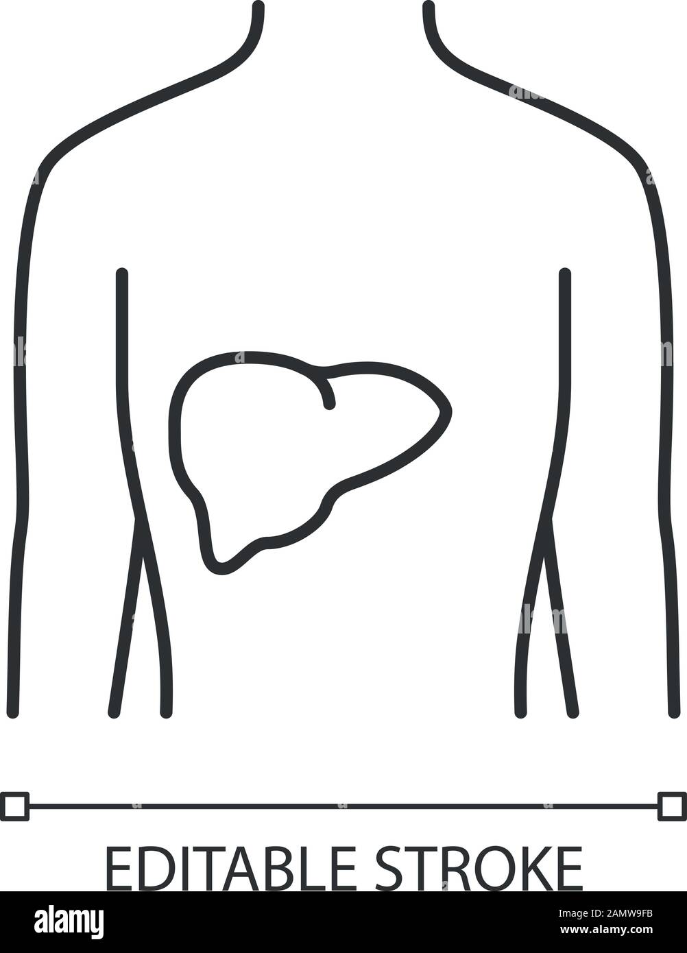 Healthy liver linear icon. Human organ in good health. Functioning ...