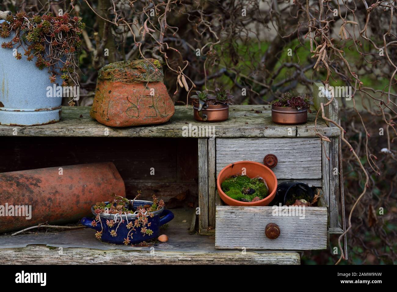 Still life in autumn with an old wooden desk with drawers, standing ...