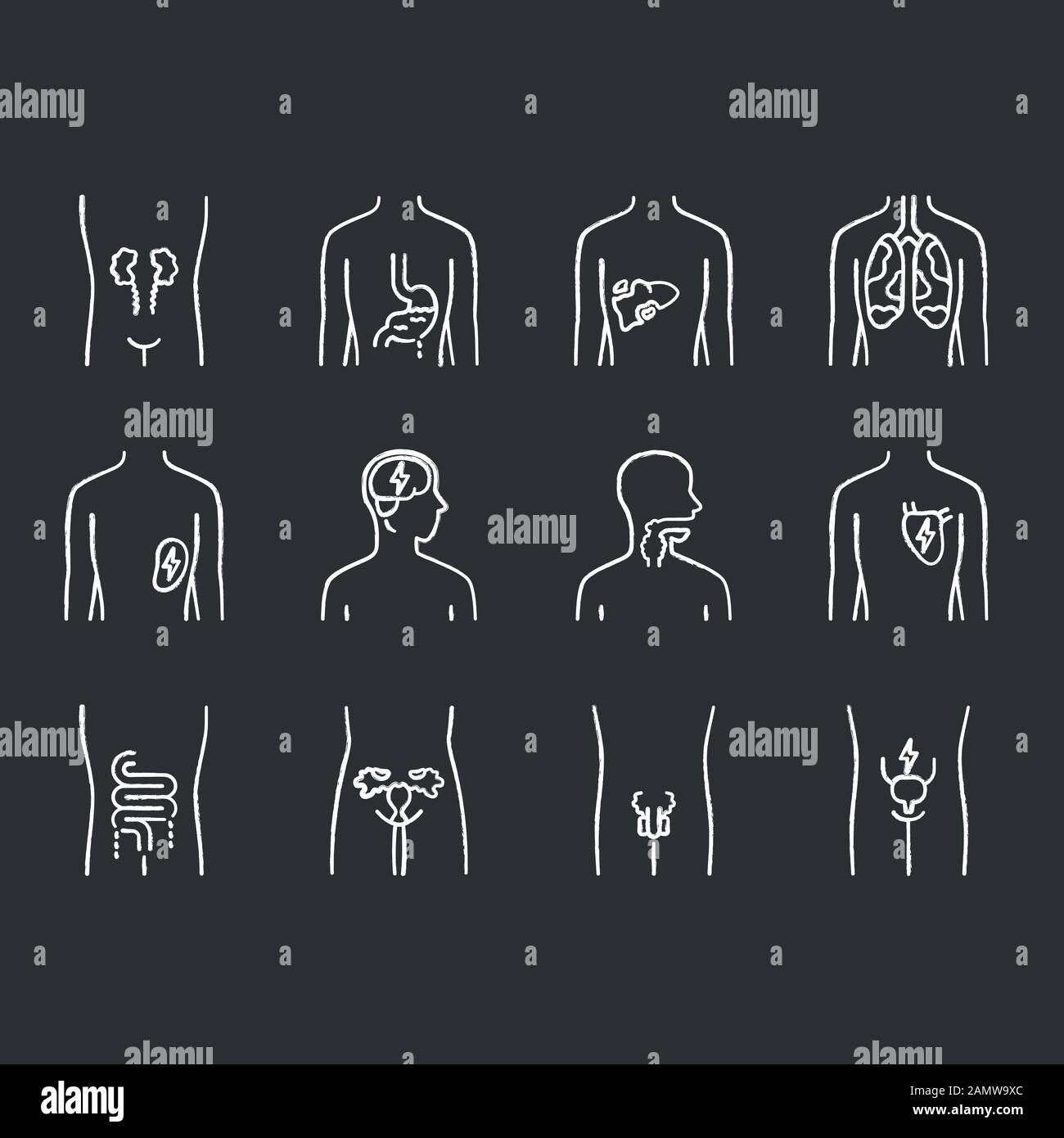 Ill human organs chalk icons set. Sore heart and lungs. Aching throat ...