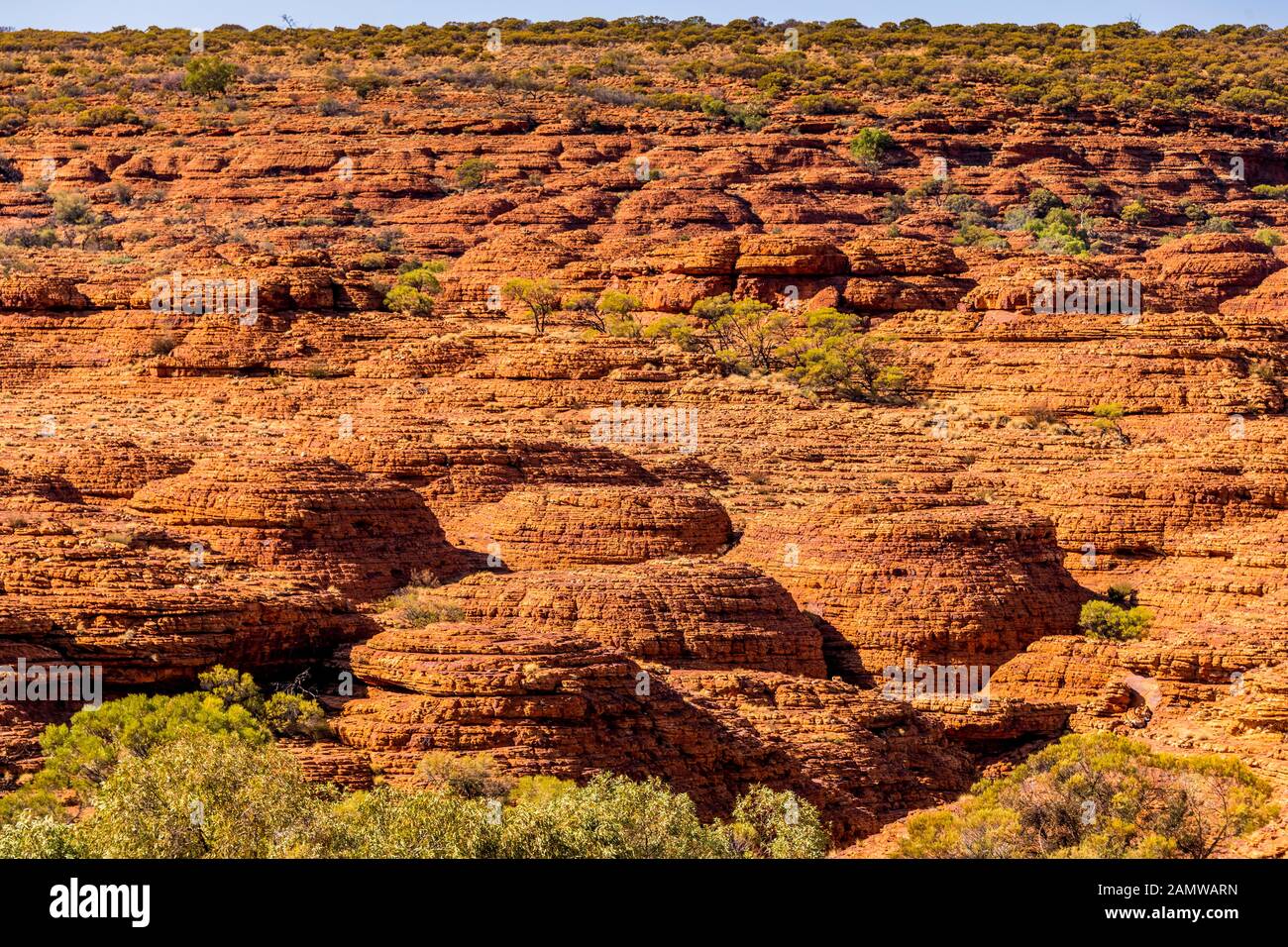 Beehive domes known as the Lost City along the Kings Canyon Rim Walk in ...