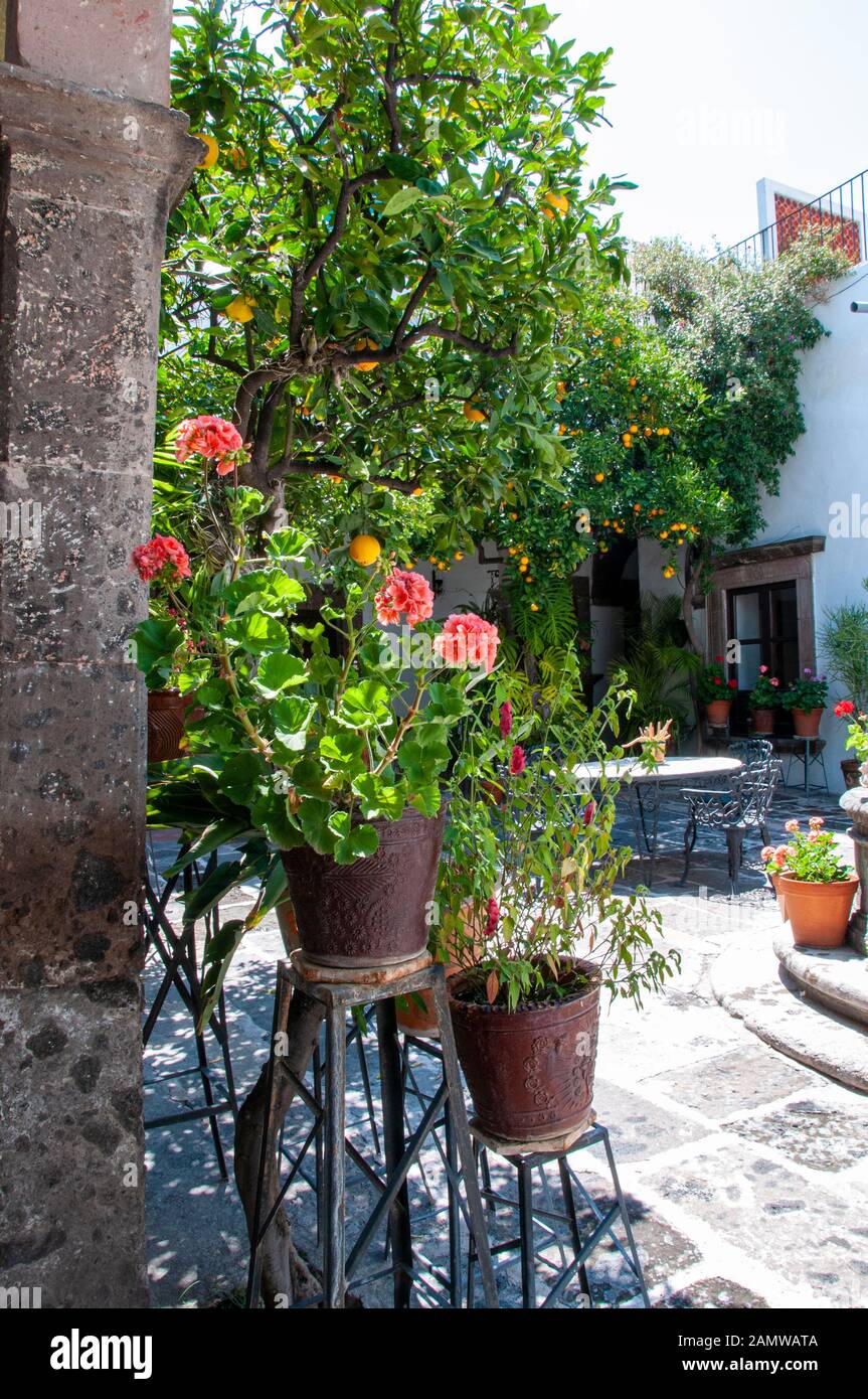 Architecture Details Found in Mexico Stock Photo - Alamy