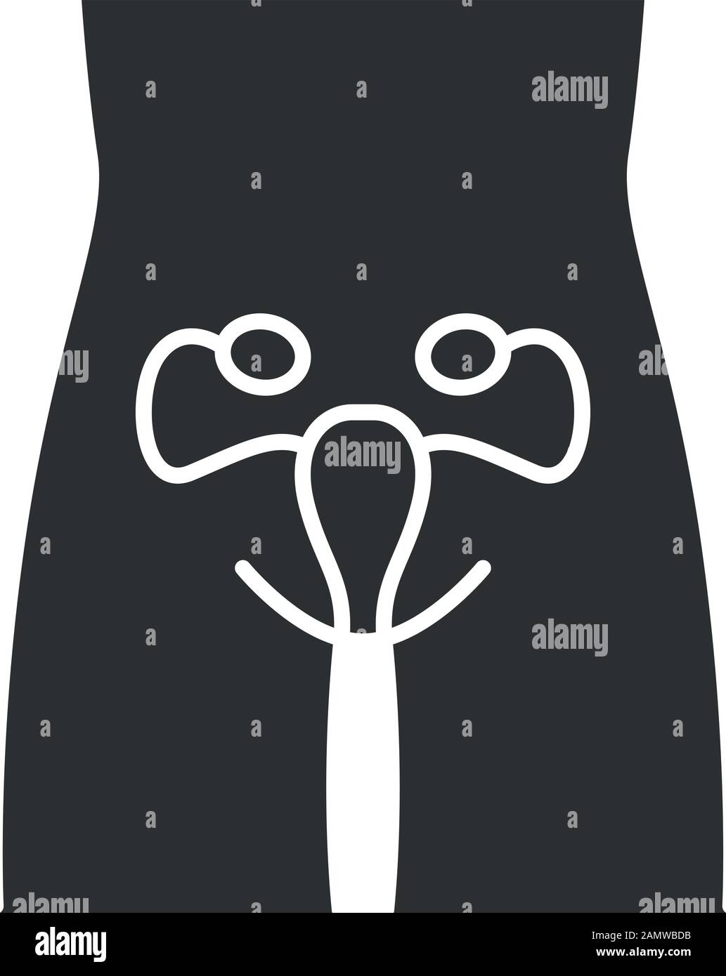 Healthy women reproductive system glyph icon. Silhouette symbol ...