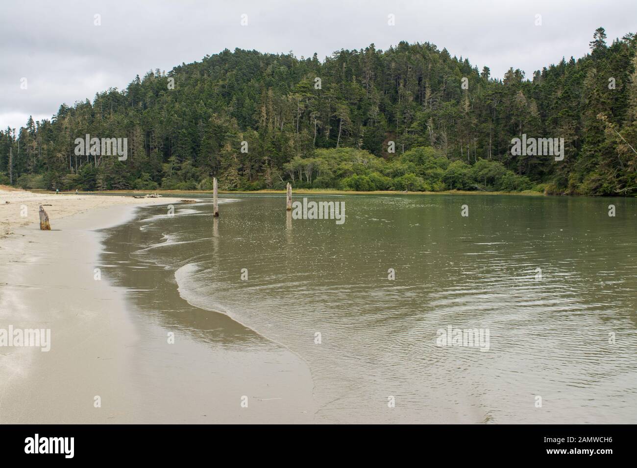 old wood posts sticking out of the sandy beach Stock Photo - Alamy