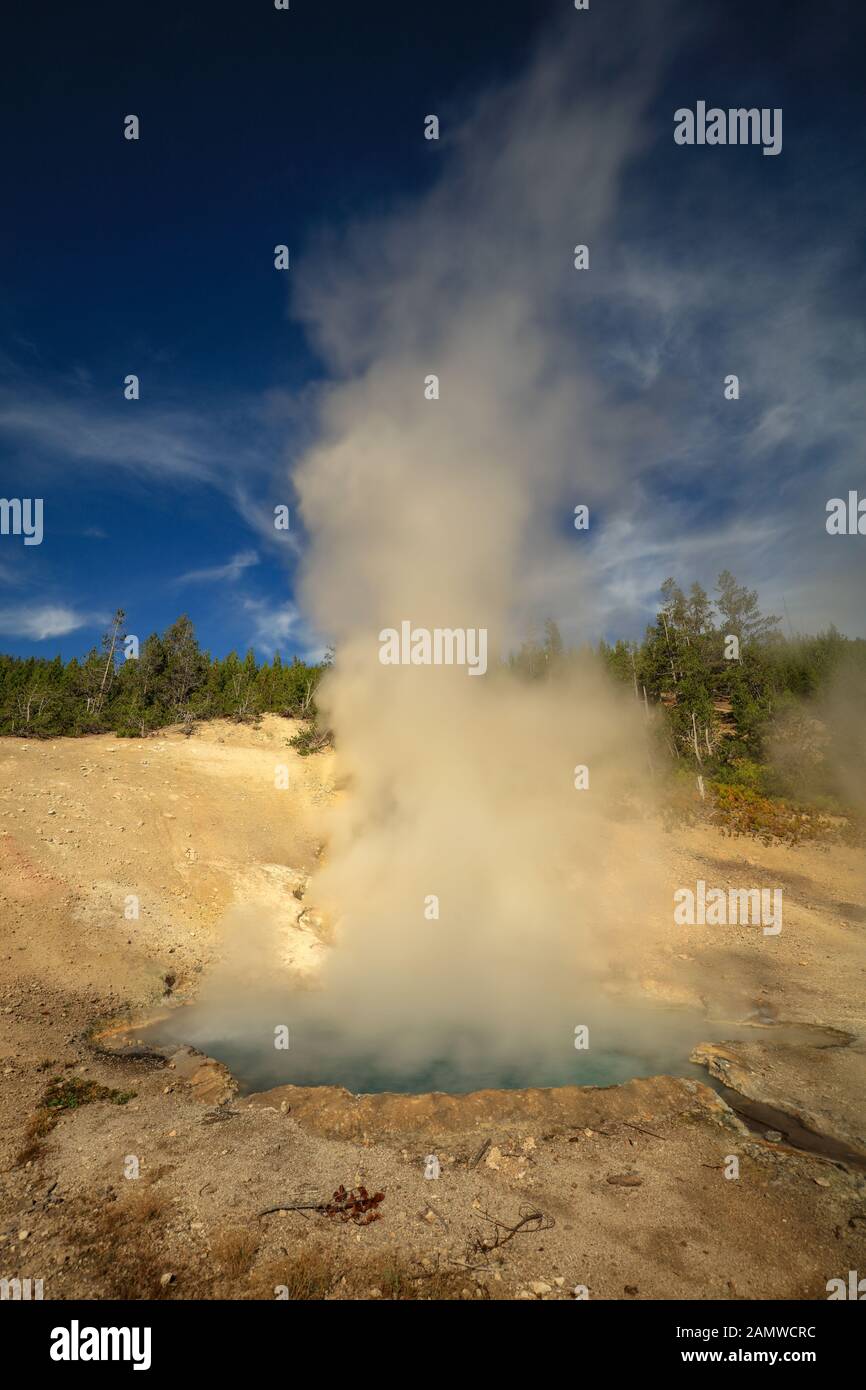 Thermal hot springs and steam in Yellowstone National Park Stock Photo ...