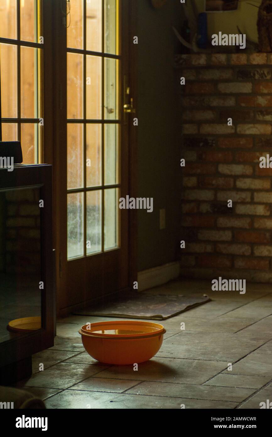 Back door, pet food hi-res stock photography and images - Alamy