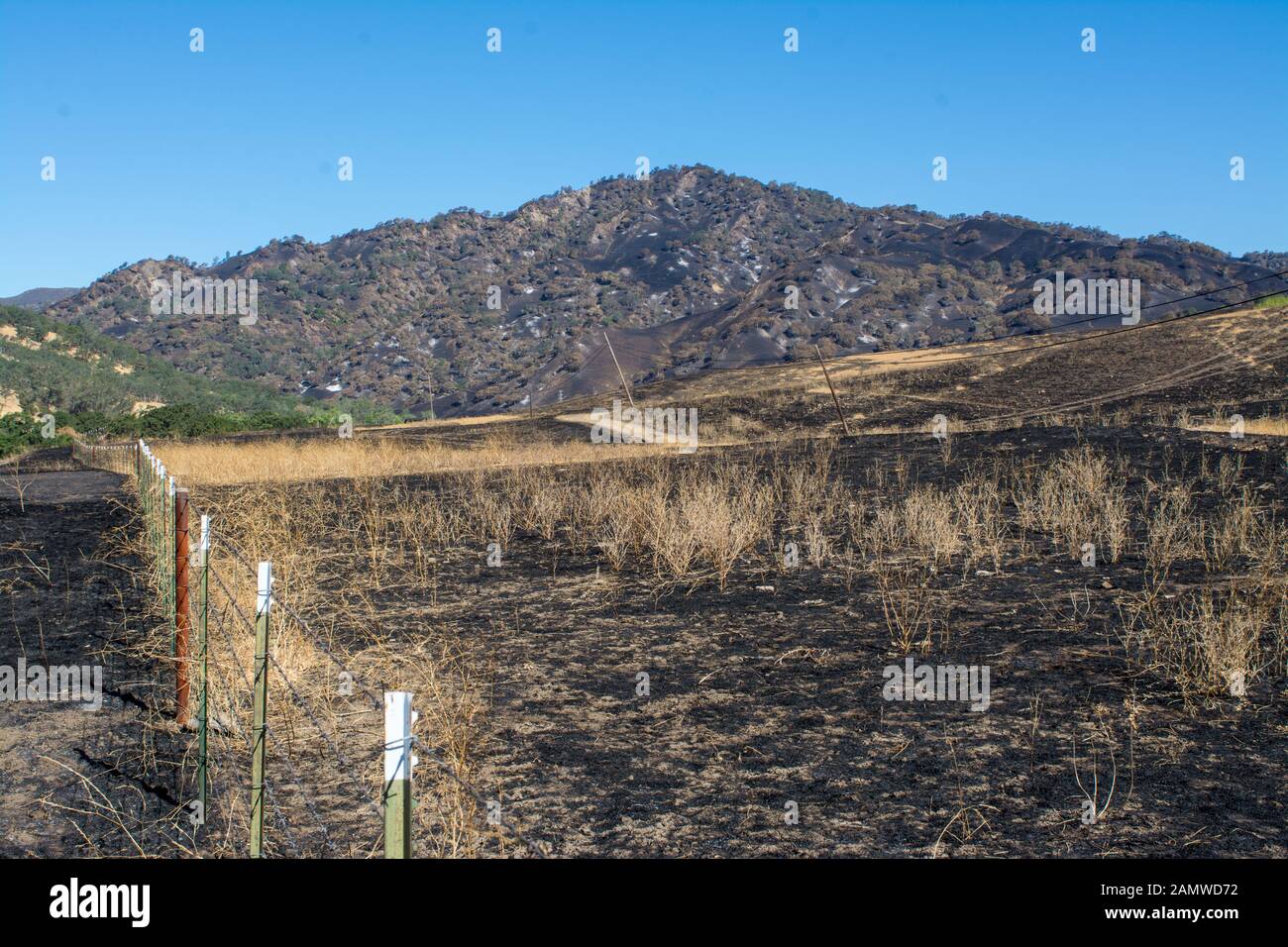 Wildfire grass hi-res stock photography and images - Alamy