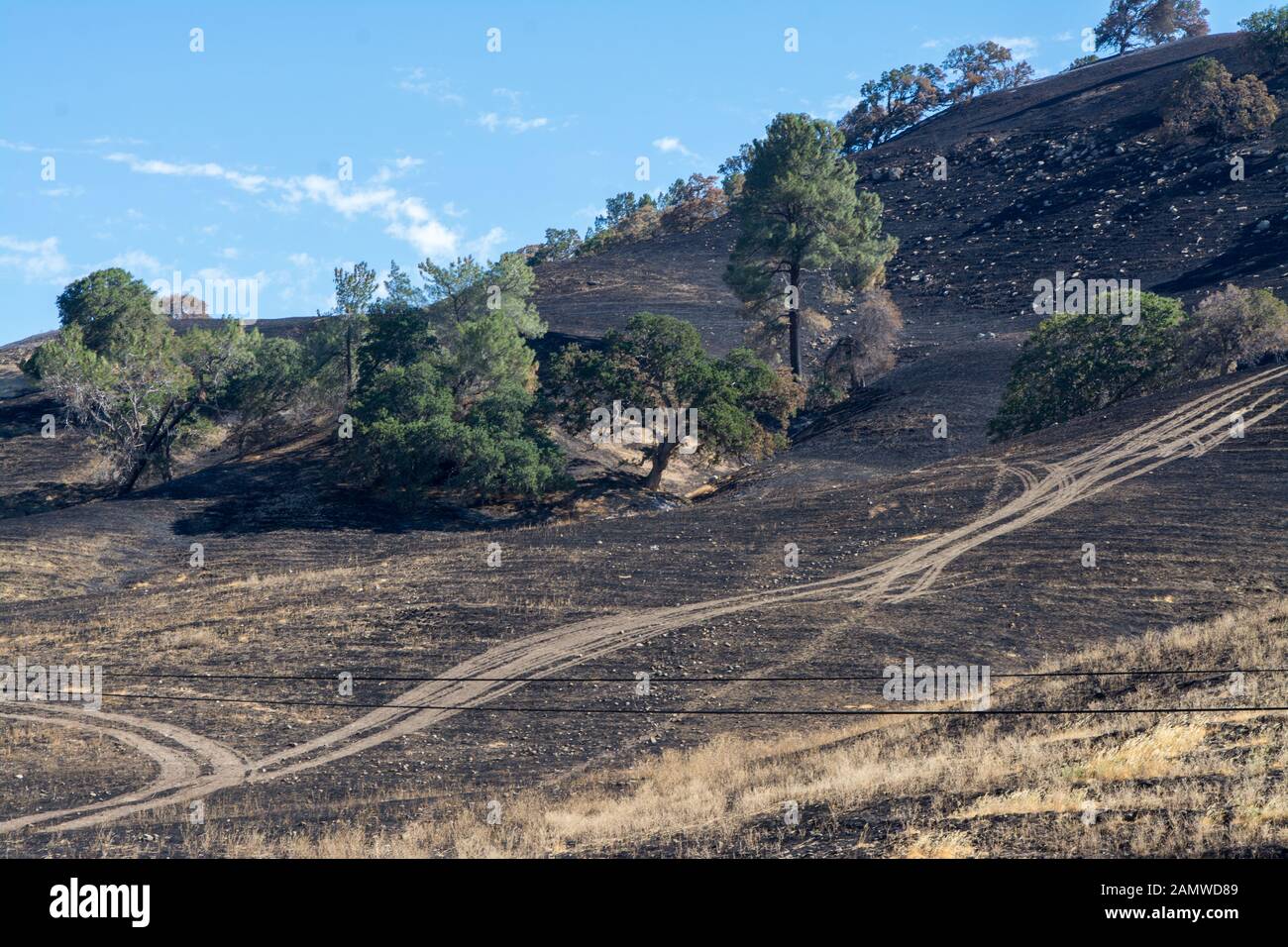 Wildfire grass hi-res stock photography and images - Alamy