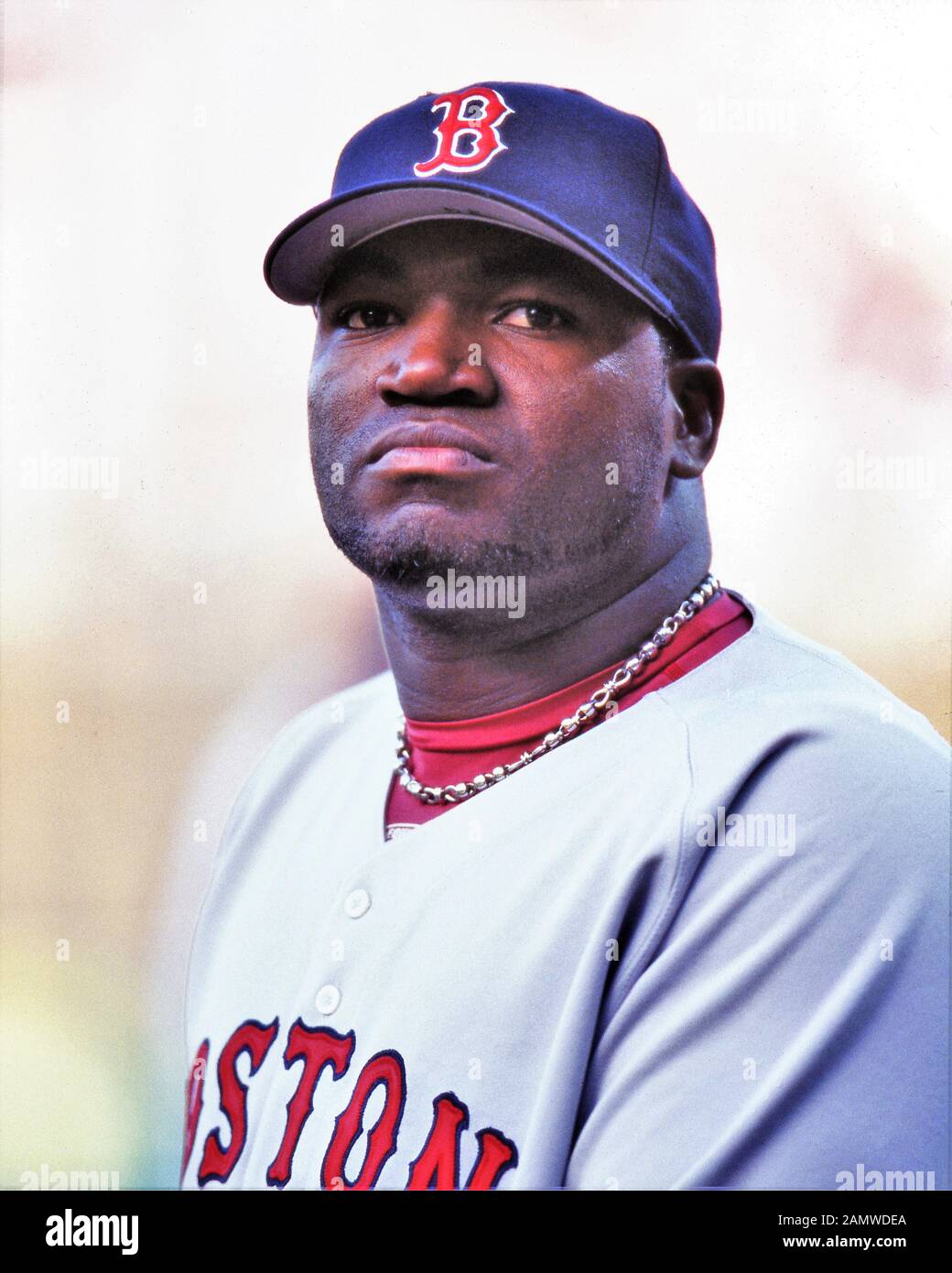 David Ortiz Hw 2024