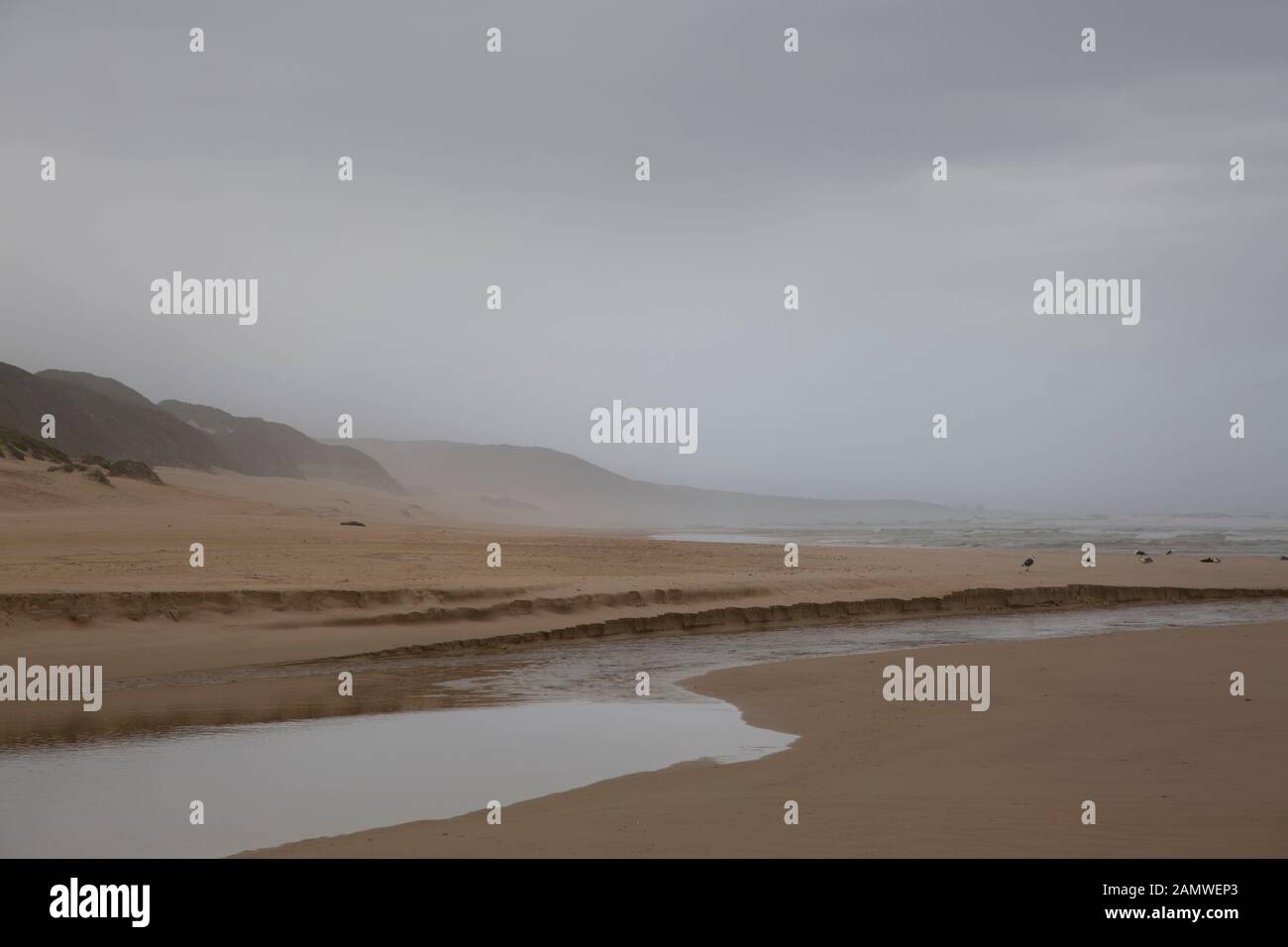 Van Stadens river mouth and misty dunes Stock Photo - Alamy