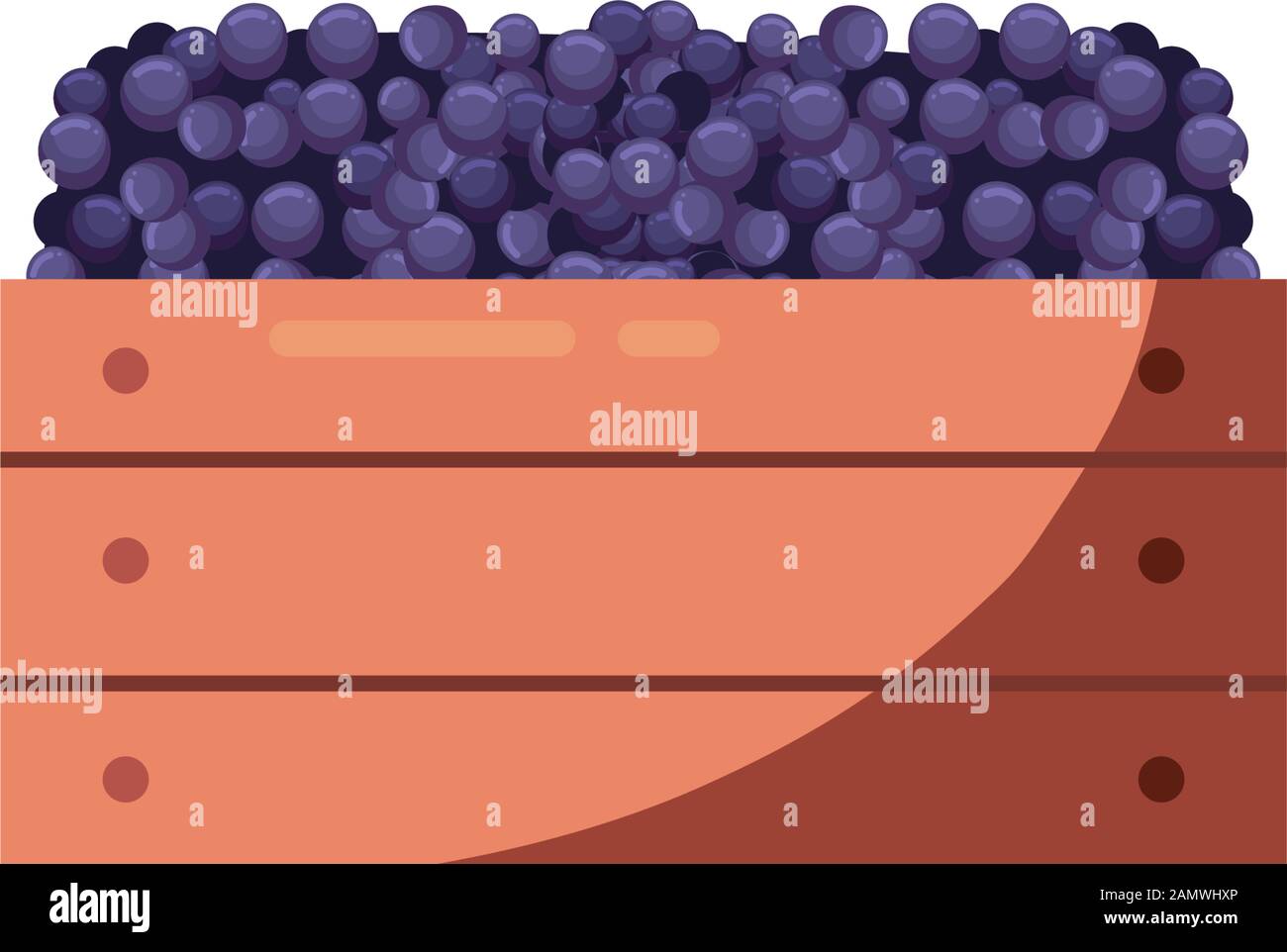 Grapes inside box design, Fruit healthy organic food sweet and nature ...