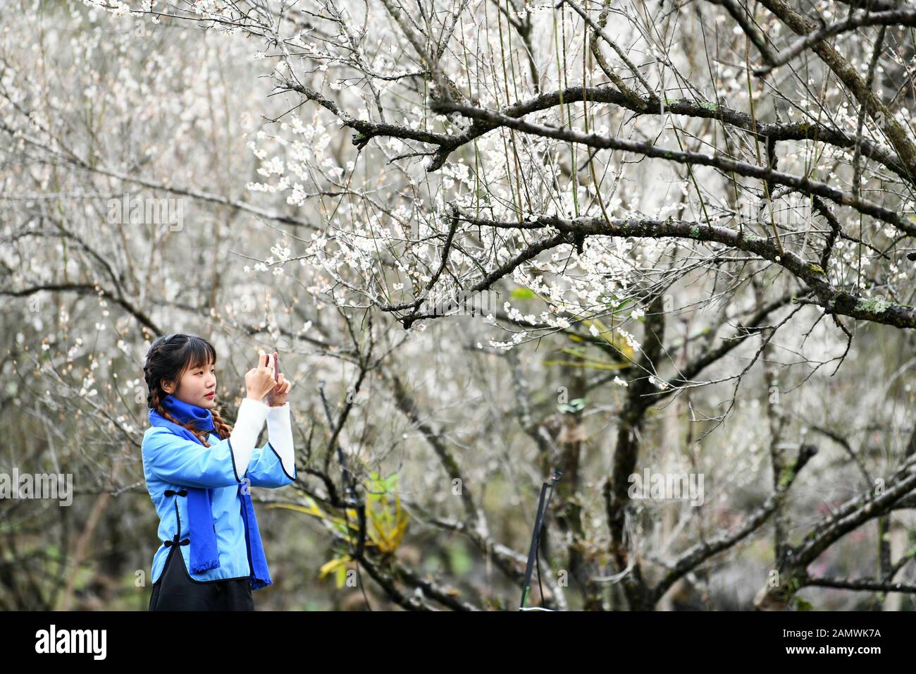 Libo, China's Guizhou Province. 14th Jan, 2020. A tourist takes photos ...