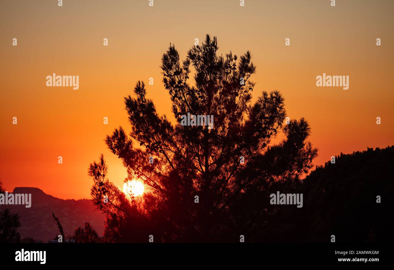 Silhouette tree sundown hi-res stock photography and images - Alamy