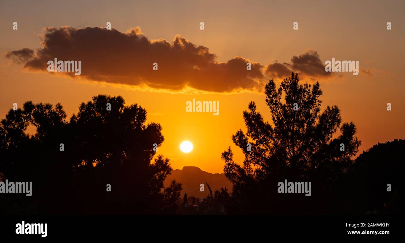 Sunset, sunrise colorful sky between trees. Pine trees black silhouette ...