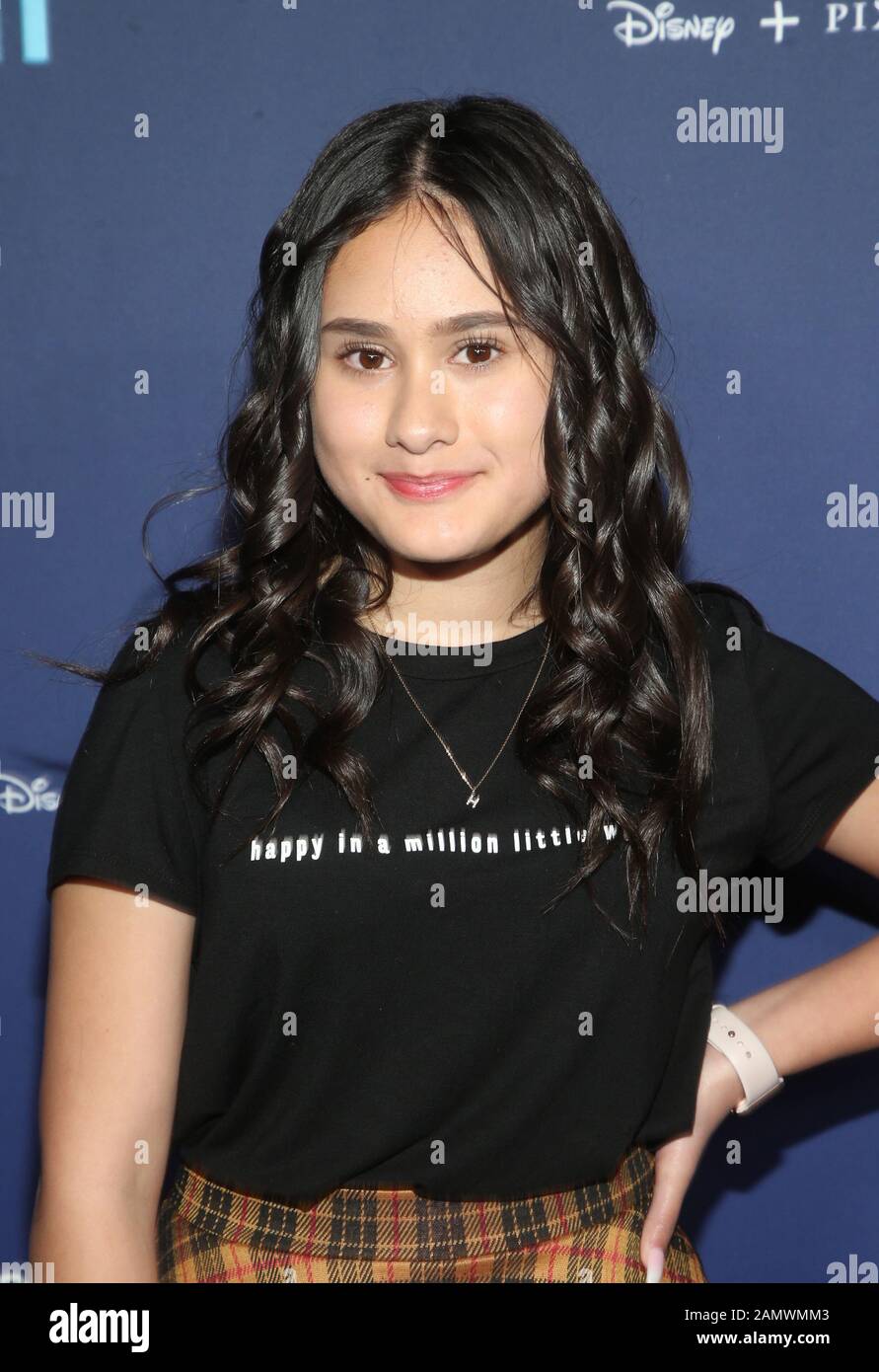 Hollywood, Ca. 14th Jan, 2020. Harmeet Pandey, at the Premiere Of ...