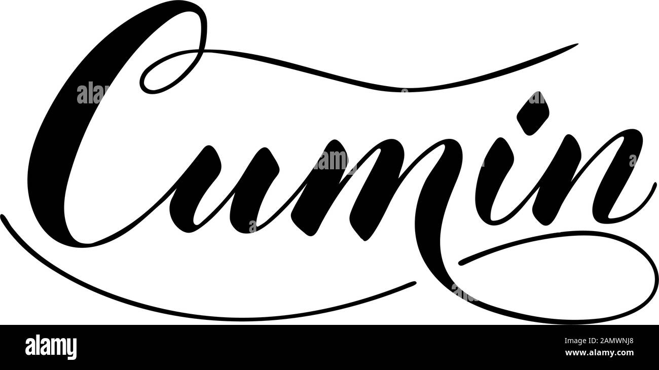 Vector hand written cumin text isolated on white background. Kitchen ...