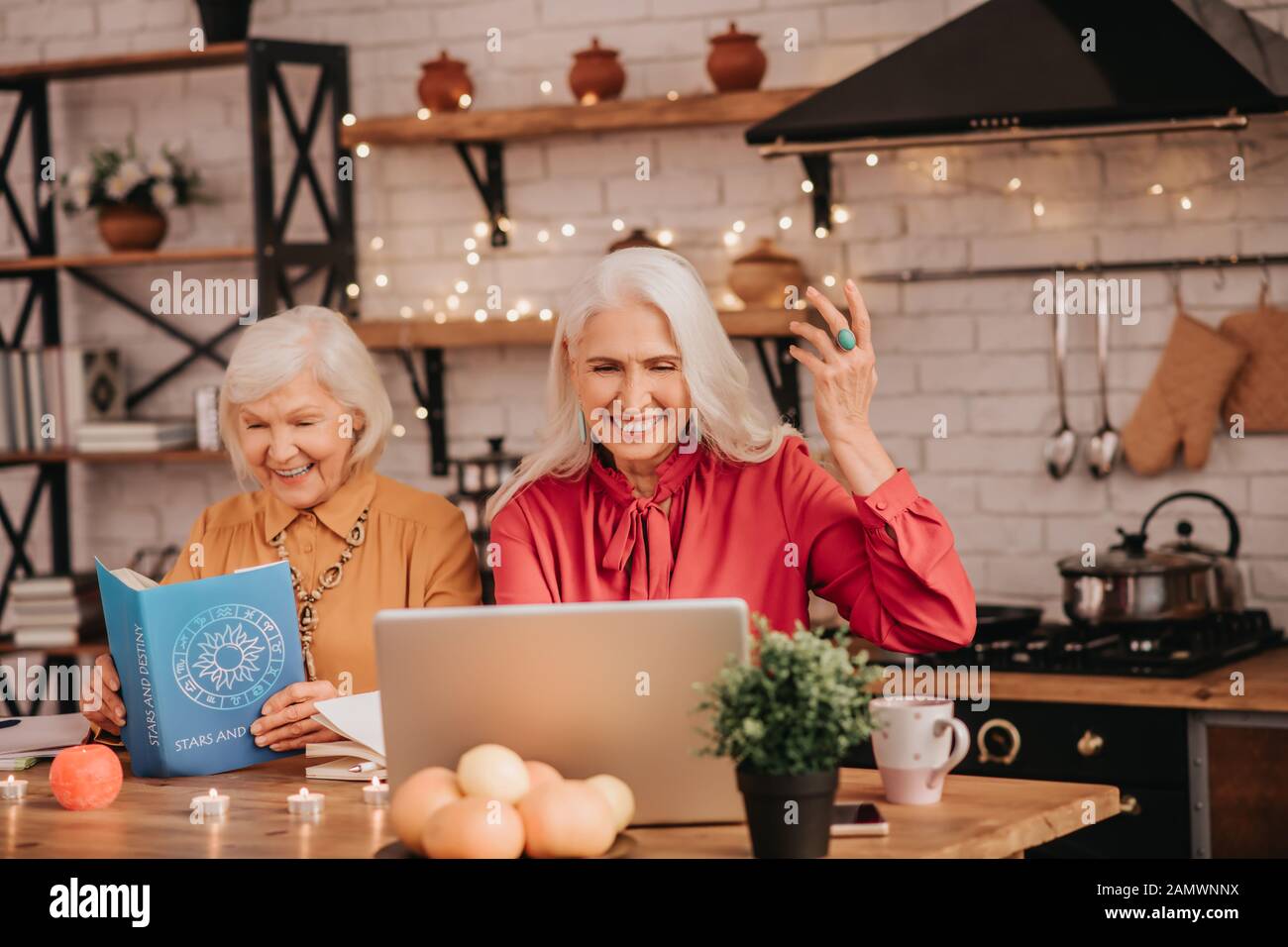 Two grey-haired pleasant ladies feeling good together Stock Photo - Alamy