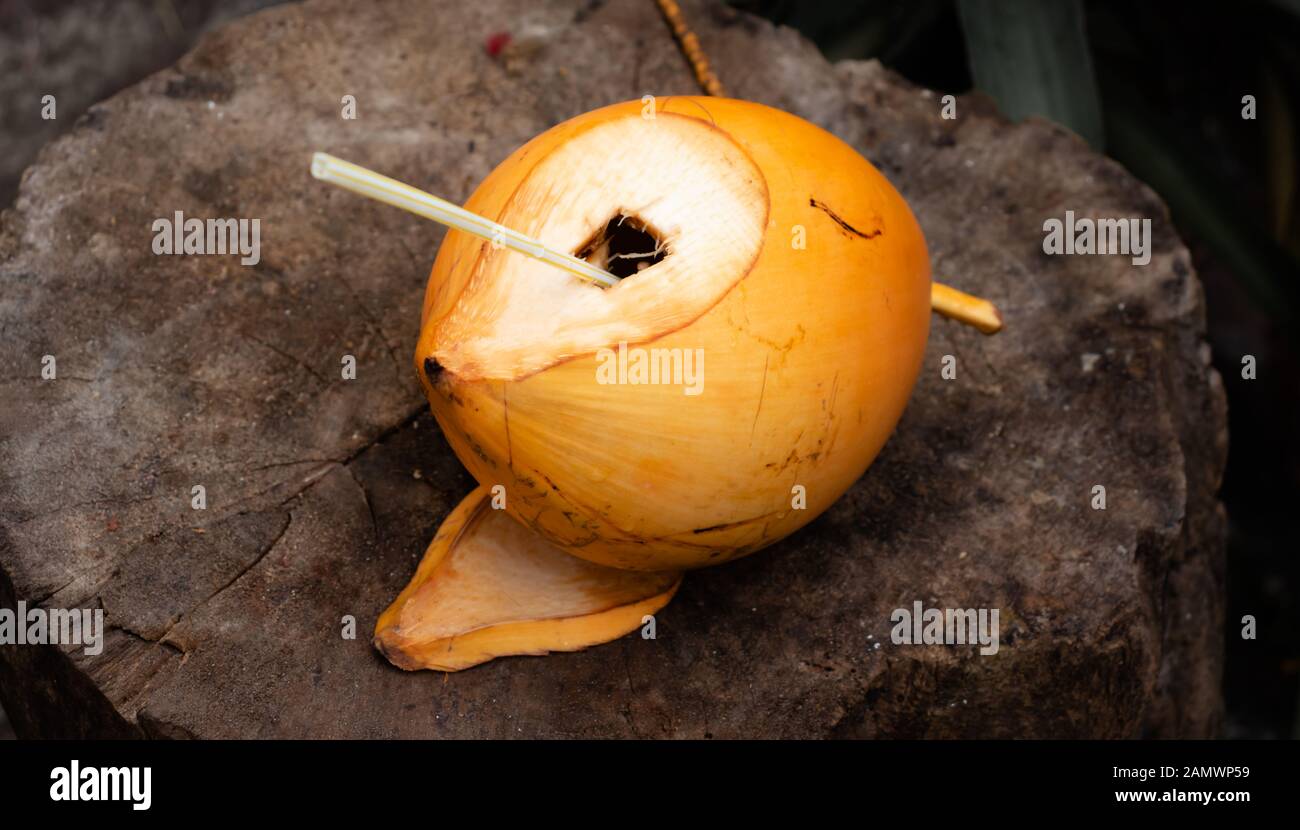 King Coconut is well known as Thembili, is native to Sri Lanka, sweeter ...