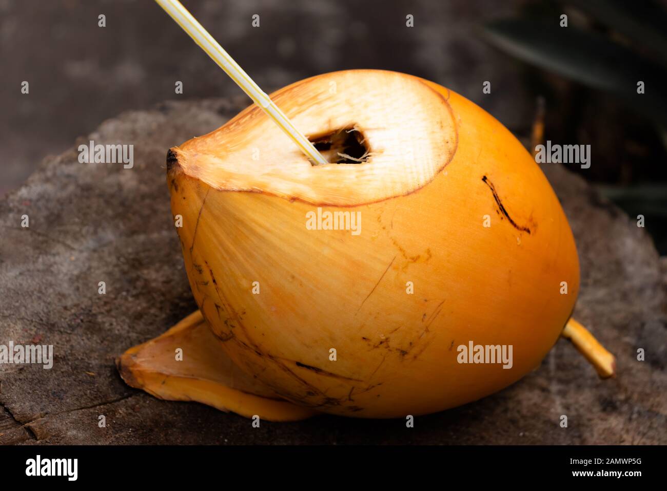King Coconut is well known as Thembili, is native to Sri Lanka, sweeter ...