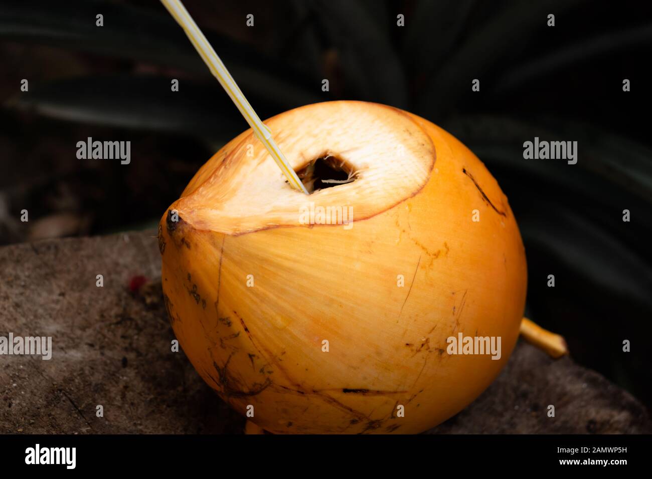 King Coconut is well known as Thembili, is native to Sri Lanka, sweeter ...