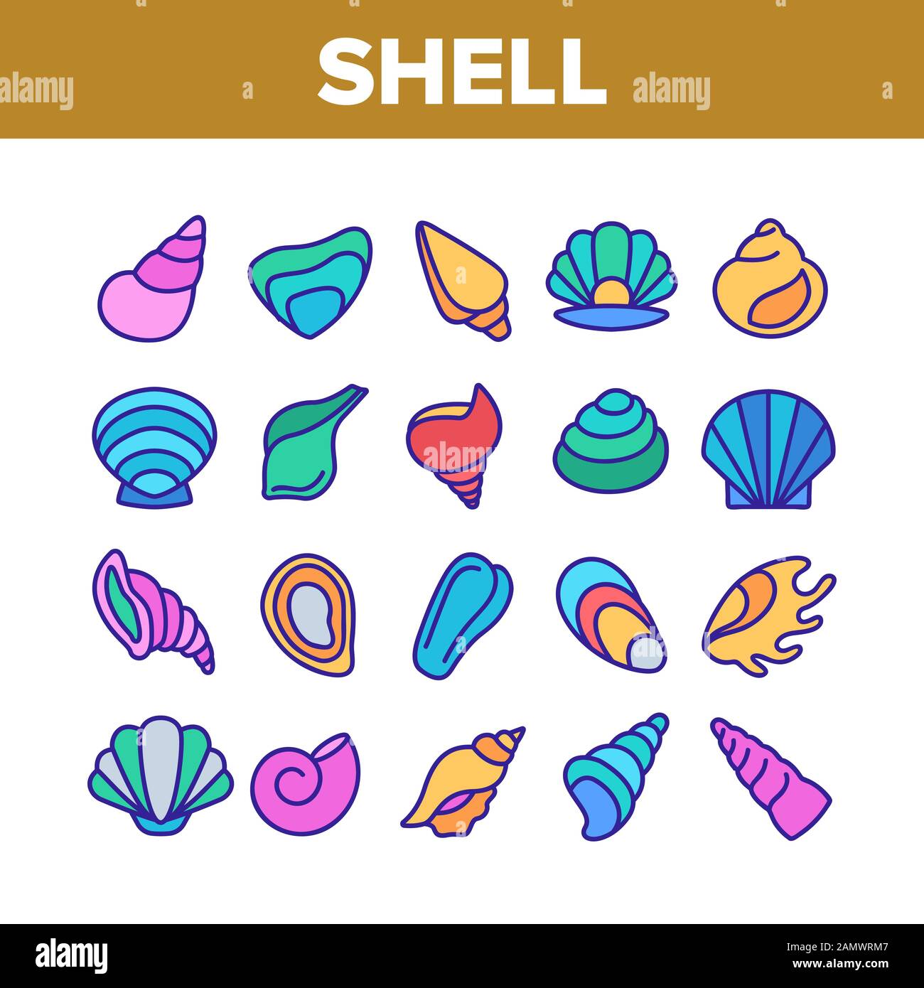 Shell And Marine Conch Collection Icons Set Vector Stock Vector Image ...