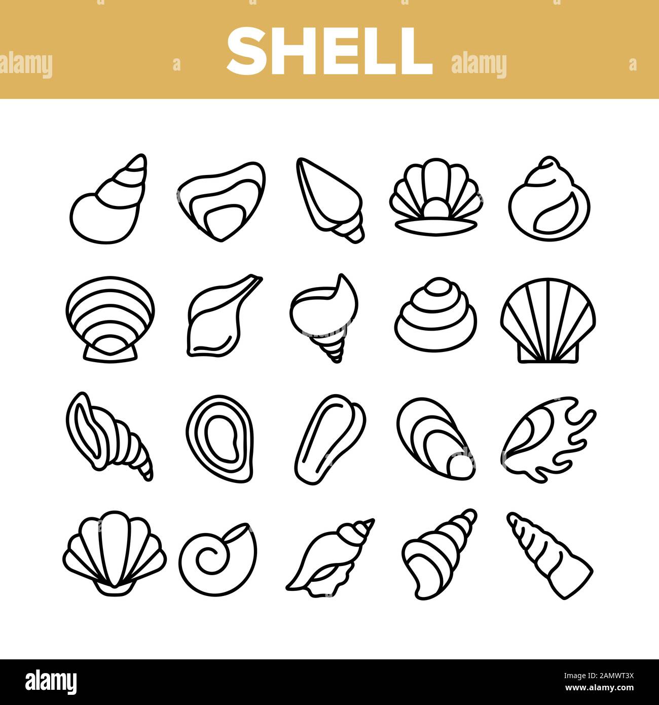 Shell And Marine Conch Collection Icons Set Vector Stock Vector Image ...